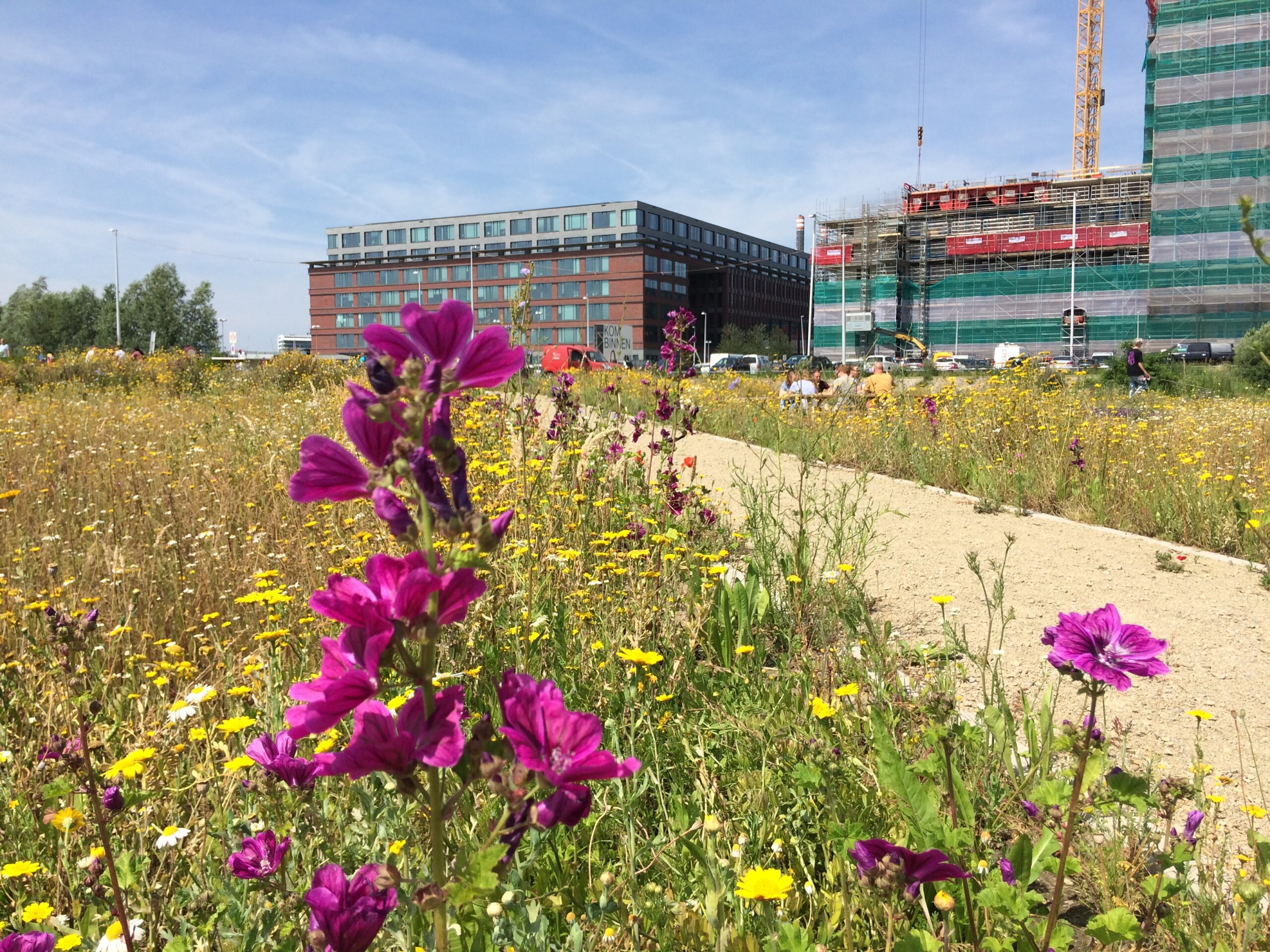 INTERVIEW - Een tuin die zoemt van het leven - Leven op NDSM